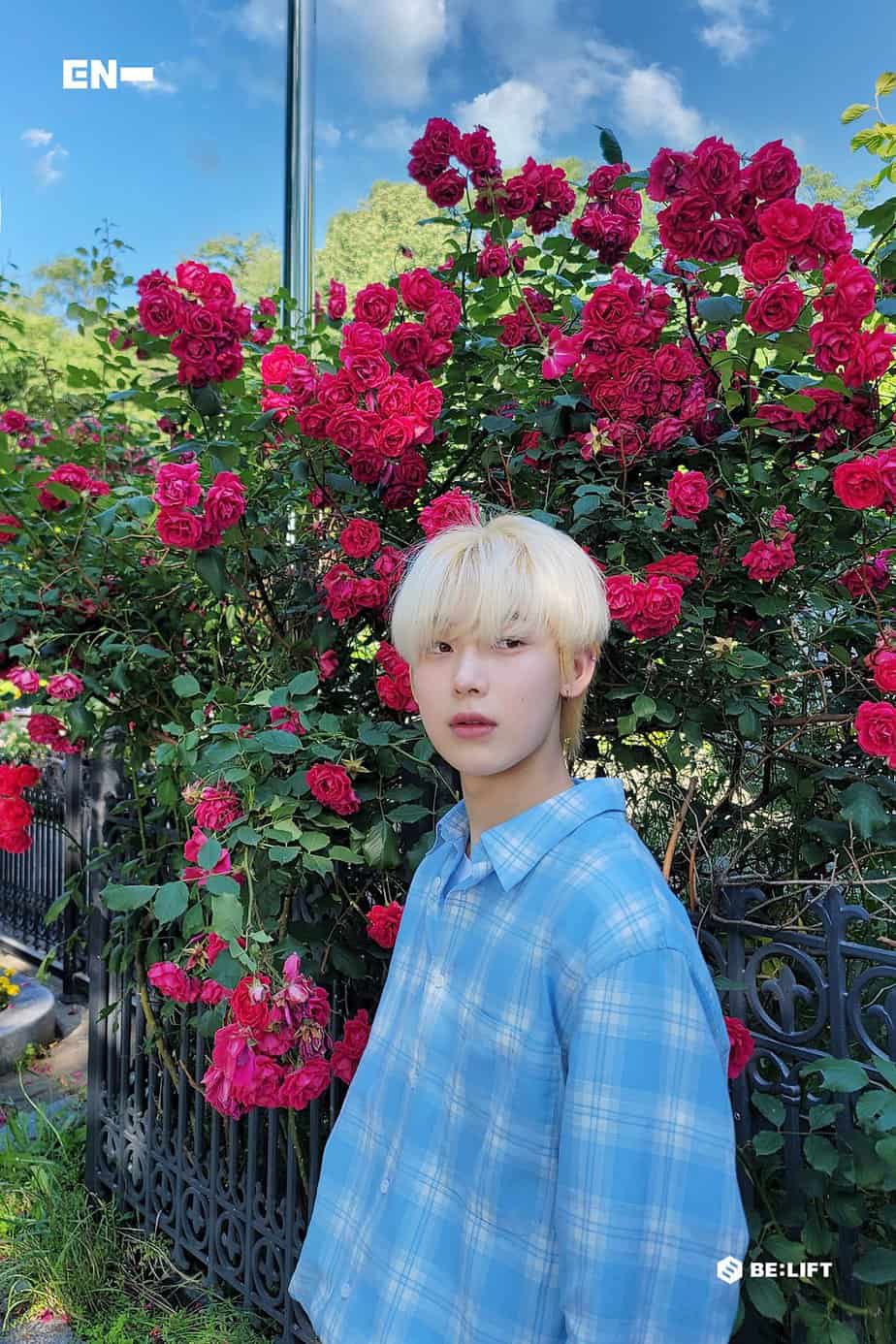 ENHYPEN, Günlük Hallerini Kameraya Aldıkları EN-Log Çekimlerinden İç ...