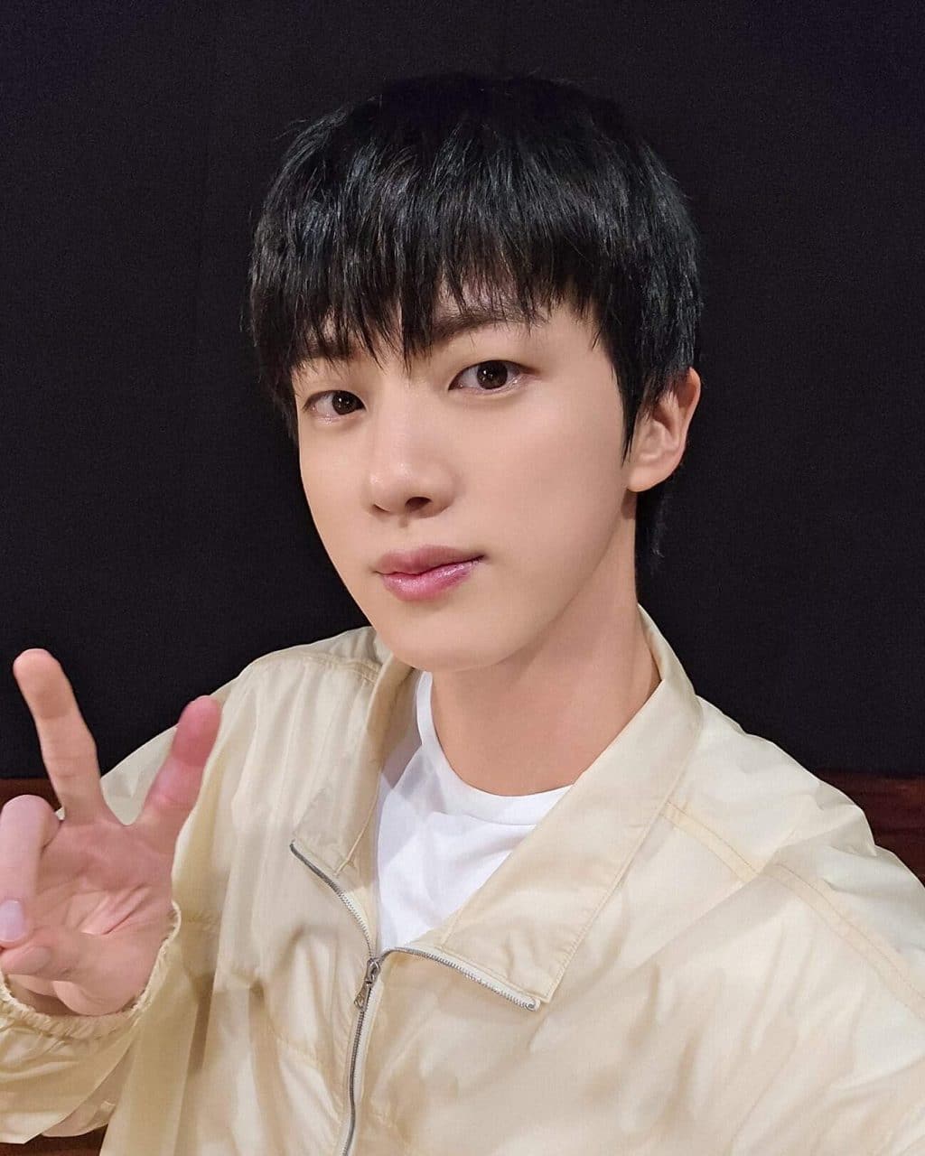 BTS'ten Jin, tvN'in Yeni Varyete Şovu "Handsome Guys"ta Yer Alacak - KoreZin